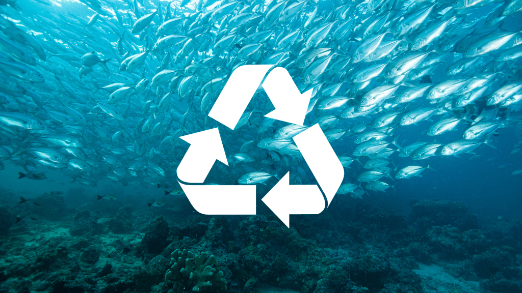 Seafood Sustainability: Joey's Fish Shack's Commitment to Ocean ...